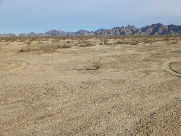 The Yuma Desert | Desert Mountaineer